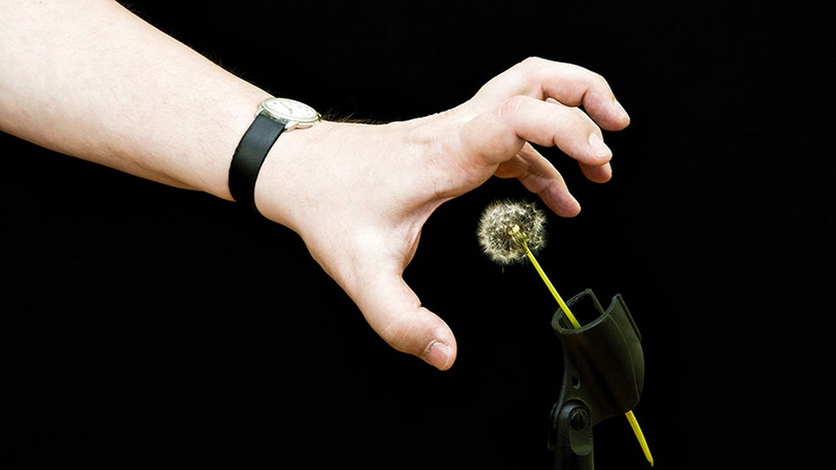 Latin American journalists face strong intimidation from political power