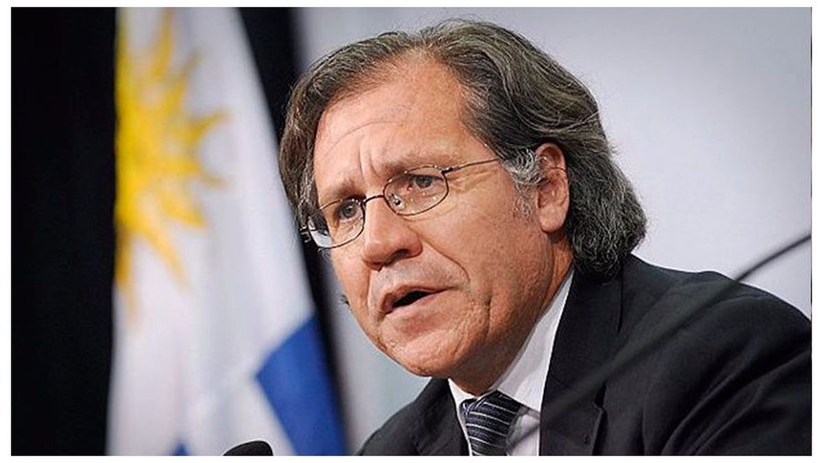 IAPA awards Press Freedom Grand Prize to Luis Almargo